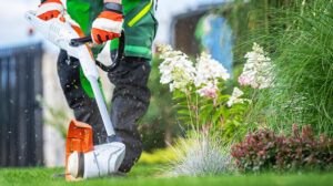 Products – DML EXLM TRADING L.L.C